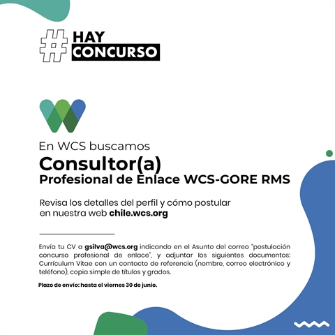 Concurso, Profesional de Enlace WCS-GORE RMS > WCS Chile